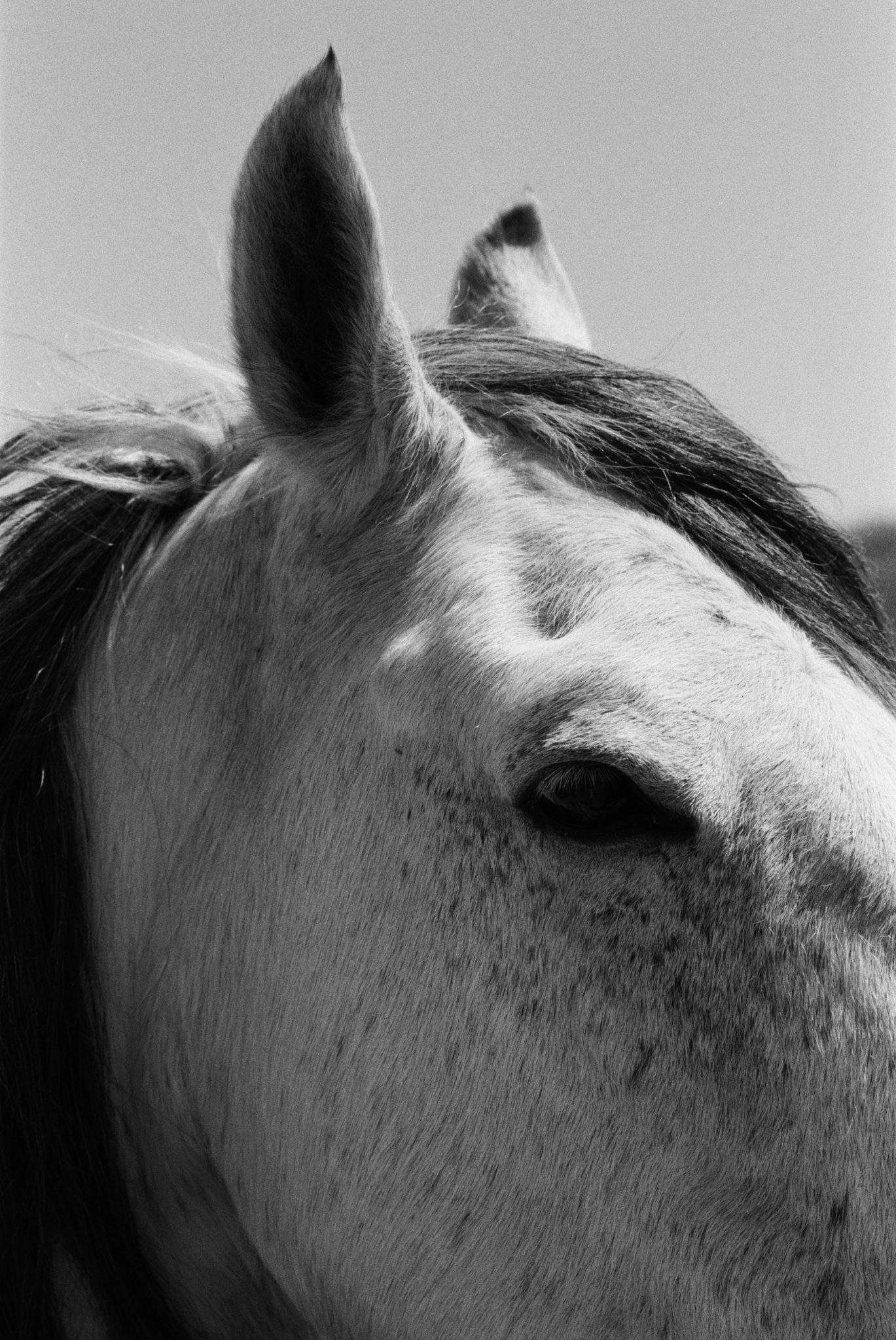 Photo – Harrison Boyce – Director & Photographer